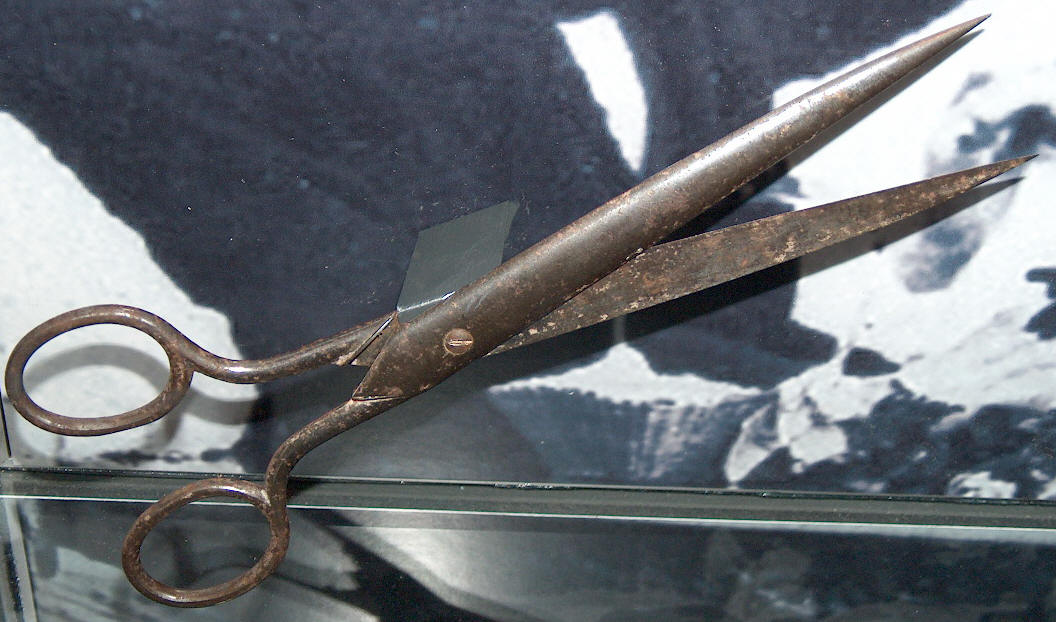 H.C. Andersens lidelseshistorie. | H.C. Andersen Information