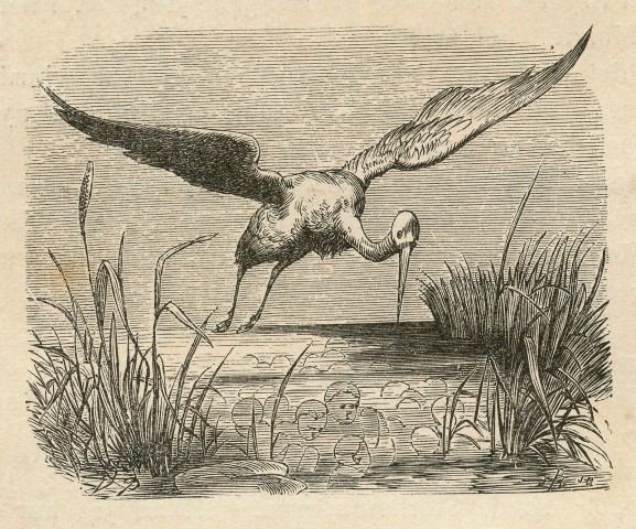 Illustration af H.C. Andersens eventyr “Storkene” (2) | H.C. Andersen ...